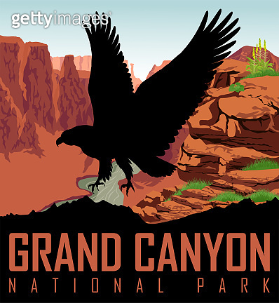 Vector Colorado river in Grand Canyon National Park with bald eagle 이미지 ...