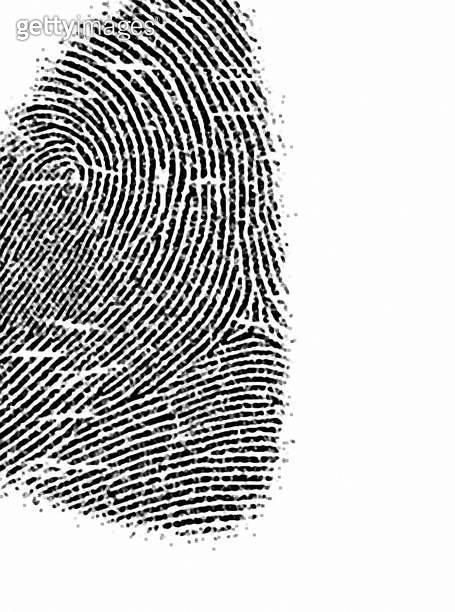 Fingerprint texture 4 이미지 (907639474) - 게티이미지뱅크