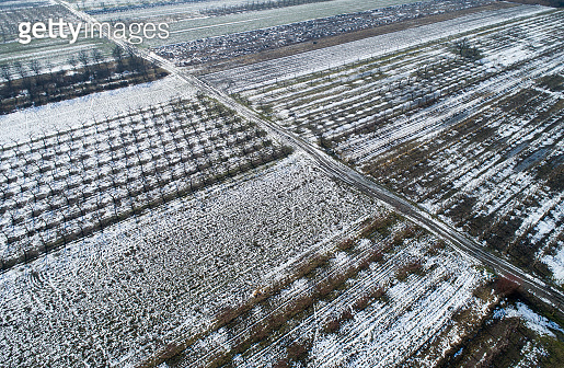 erial image of farmland covered with snow 이미지 (938578184) - 게티이미지뱅크