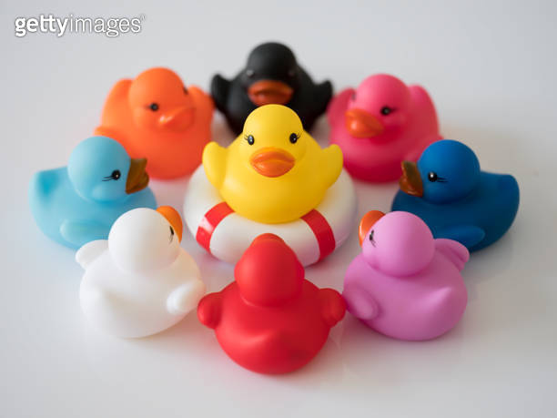 Group of nine different colored ducks in a circle facing each other ...