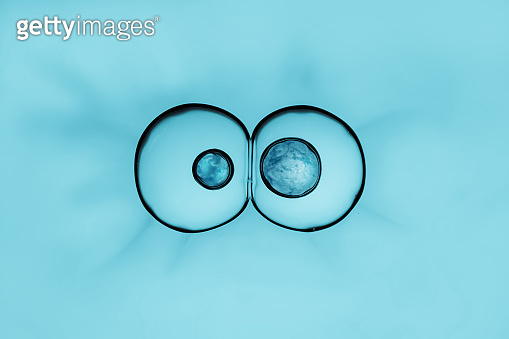 Cells division process, Cell divides into two cells (932603736) - 게티이미지뱅크