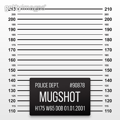 Police mug shot or mugshot vector centimeter lineup background ...