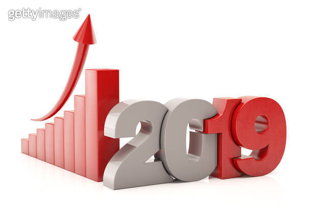 Finance Concept 2019 Bar Graph Going Up 이미지 (1069577420) - 게티이미지뱅크