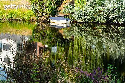 reflection of boat in water, jetty, in nature park Bossche Broek in Den ...