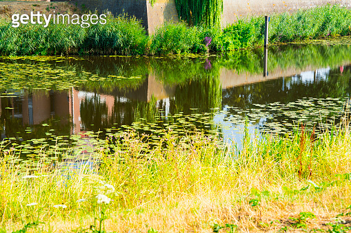 reflection of city wall in water, in nature park Bossche Broek in Den ...