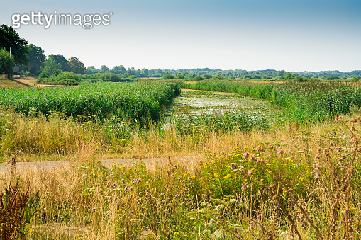 landschape of nature park Bossche Broek in Den Bosch, 's Hertogenbosch ...