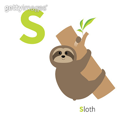Letter S Sloth on tree Zoo alphabet. English abc with animals Education ...