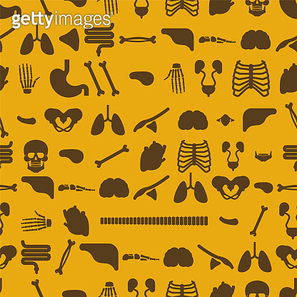 Human anatomy pattern seamless. Skeleton and Internal organs background ...