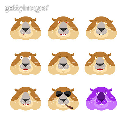 Groundhog set emoji avatar. sad and angry face. guilty and sleeping ...