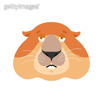 Groundhog sad emoji. Woodchuck sorrowful emotions. Marmot dull ...