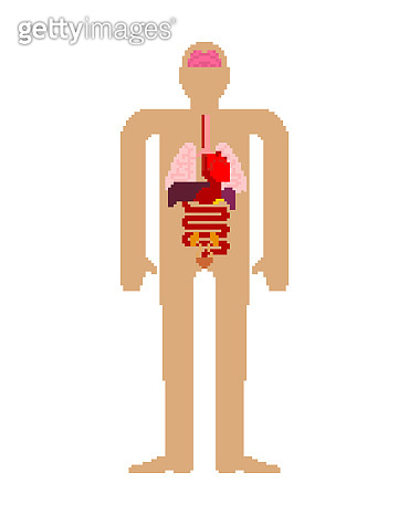 Internal organ pixel art set. 8 bit anatomy of human body. Heart and ...