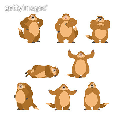 Groundhog set poses and motion. Woodchuck happy and yoga. Marmot ...