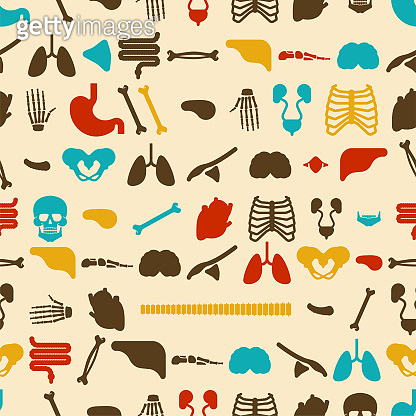 Human anatomy pattern seamless. Skeleton and Internal organs background ...
