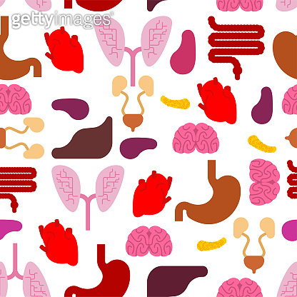 Human Internal organs pattern seamless. Anatomy background. Systems of ...