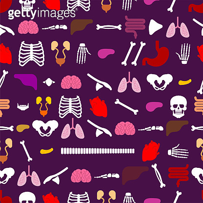 Human anatomy pattern seamless. Skeleton and Internal organs background ...