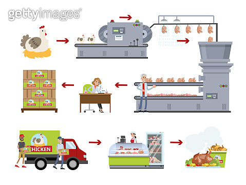 Chicken factory set. 이미지 (977708622) - 게티이미지뱅크
