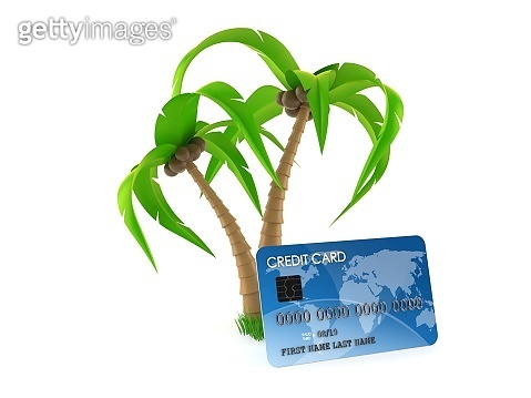 Palm tree with credit card 이미지 (1070760516) - 게티이미지뱅크