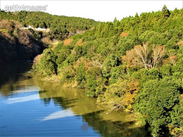 Autumn in Japan. Boso peninsula , Chiba. There are lot of such ...