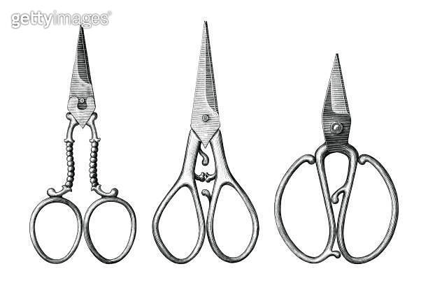 Collection of antique scissors hand draw vintage style black and white ...