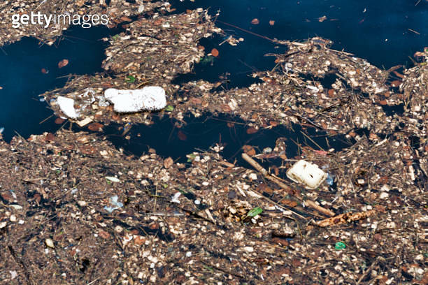 Plastic pollution in the Ocean Environmental Issue Styrofoam ...