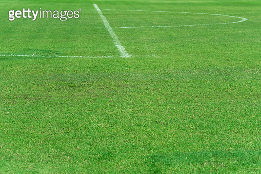 green natural grass football or soccer field with white curve and ...