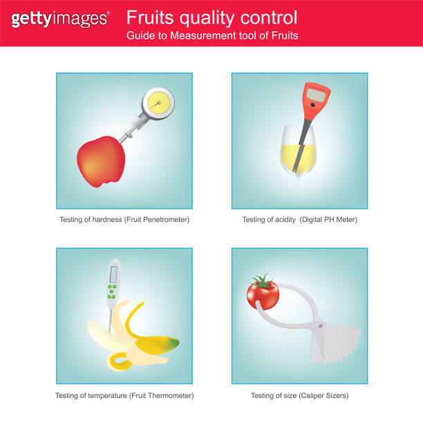 Sample figure illustrate measurement tool of fruits for quality control ...