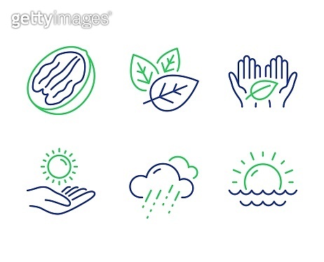 Fair trade, Rainy weather and Sun protection icons set. Pecan nut ...