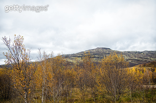 High mountains. Fall in Iceland. Landscape view with grass field in ...