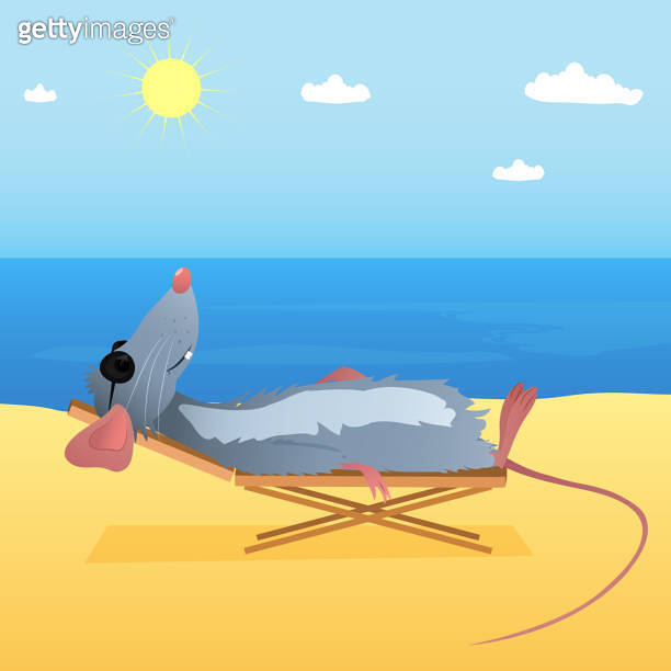 Funny Rat in sunglases with a long pink tail is relaxing and sleeping ...