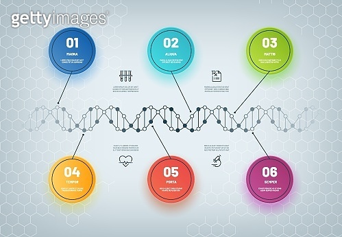 DNA infographic. Molecular chain diagram, medical step infographic ...