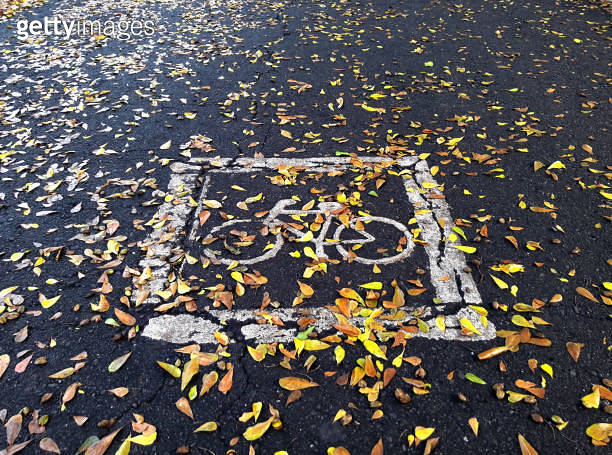 Cyclists' grey asphalt road, market with special white signs. Covered ...