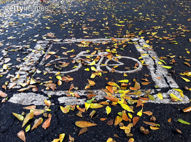 Cyclists' grey asphalt road, market with special white signs. Covered ...