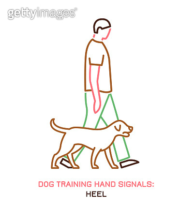 Dog Command Icons-08 이미지 (1190209218) - 게티이미지뱅크