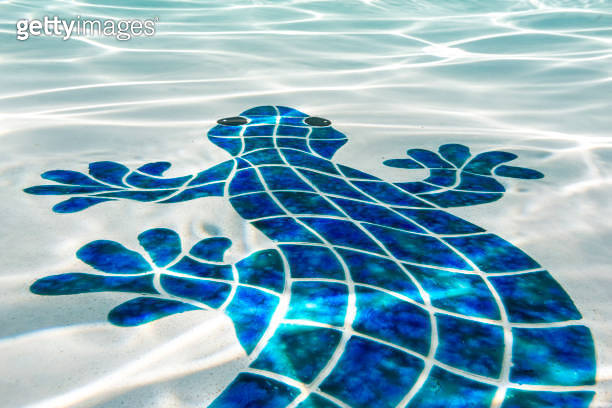Underwater View of a Lizard Tile Mosaic on a Pool Floor (1167267901 ...