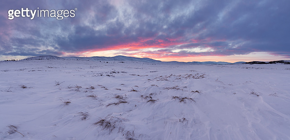 Land of Hope. Arctic tunda location in the Yamal Peninsula. Winter ...
