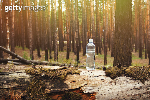 Plastic water bottle stands on a felled log with moss and mushro 이미지 ...