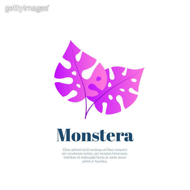 Monstera tropical leaves icon isolated on white background. Bright gradient abstract quirky ...