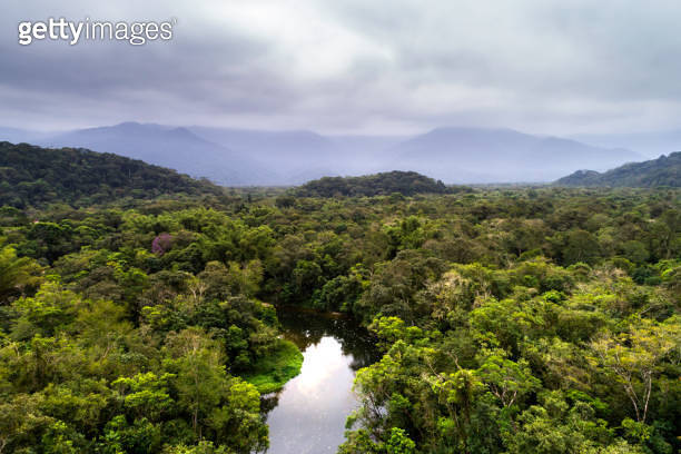 Aerial view of a tropical rainforest 이미지 (1145453444) - 게티이미지뱅크