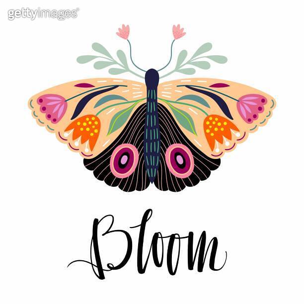 Floral card/poster/fashion textile design with decorative floral moth ...