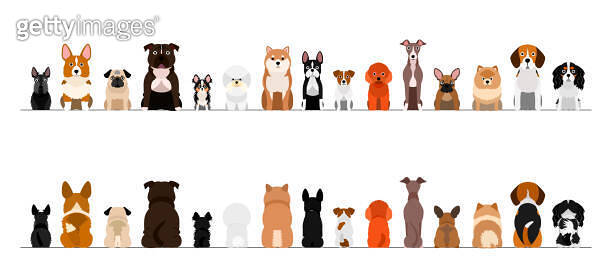 small dogs border border set, full length, front and back 이미지 ...