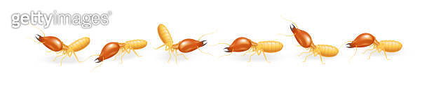 illustration termites walking in line isolated on white background ...