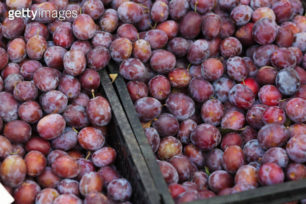 Plum background. Red fresh ripe plums placed in a box on the market ...