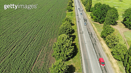 Cars driving on the road between two big fields. Agriculture landscape ...