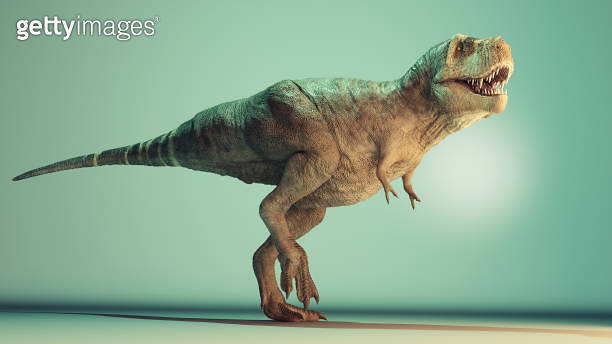 Tyrannosaurus-rex posing in studio. 3d render 이미지 (1163846428) - 게티이미지뱅크