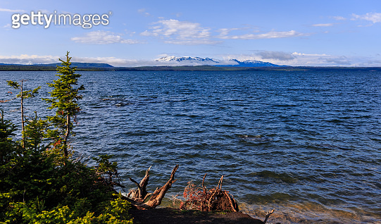 Yellowstone Lake Views from Pumice Point, Yellowstone National Park 이미지 ...