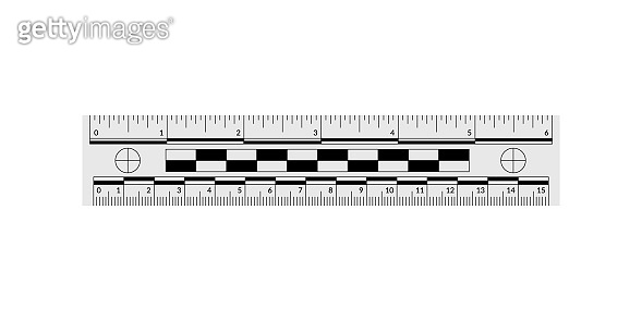 Forensic ruler for measuring crime evidence and gathering a clues ...