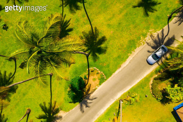 Aerial view of the Pigeon Point, Tobago, Trinidad and Tobago, Caribbean ...