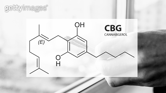 Cannabigerol cannabinoid compounds in the female cannabis plant. CBG ...