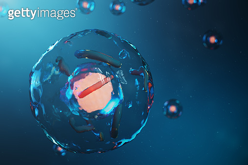 Human cells or animal. Cell colony. Concept of science and medicine ...