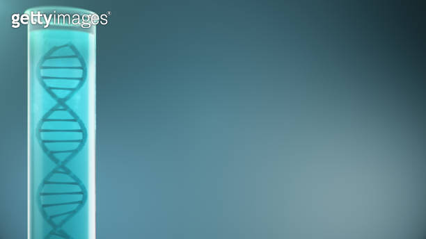 Double helical structure of DNA inside the test tube, DNA molecule, RNA ...